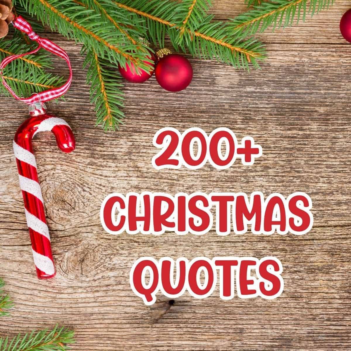 200+ Christmas Quotes And Sayings That's Craft-Worthy!